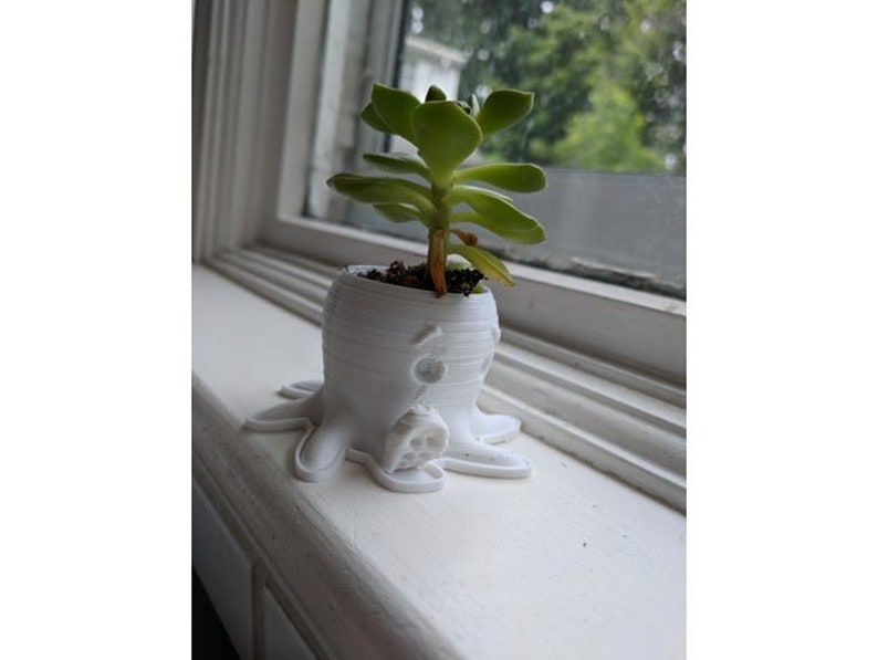 Octopus Planter / Succulent / Cactus Pot / Small Planter / - Etsy