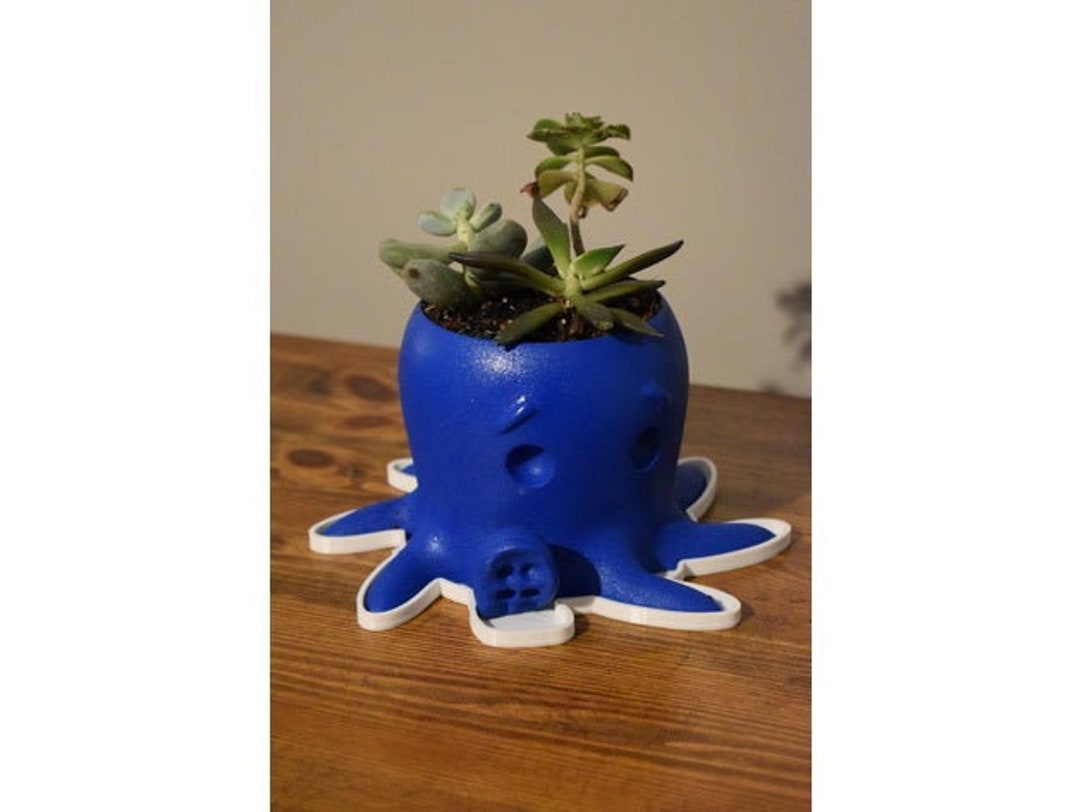 Octopus Planter / Succulent / Cactus Pot / Small Planter / Desk Planter ...