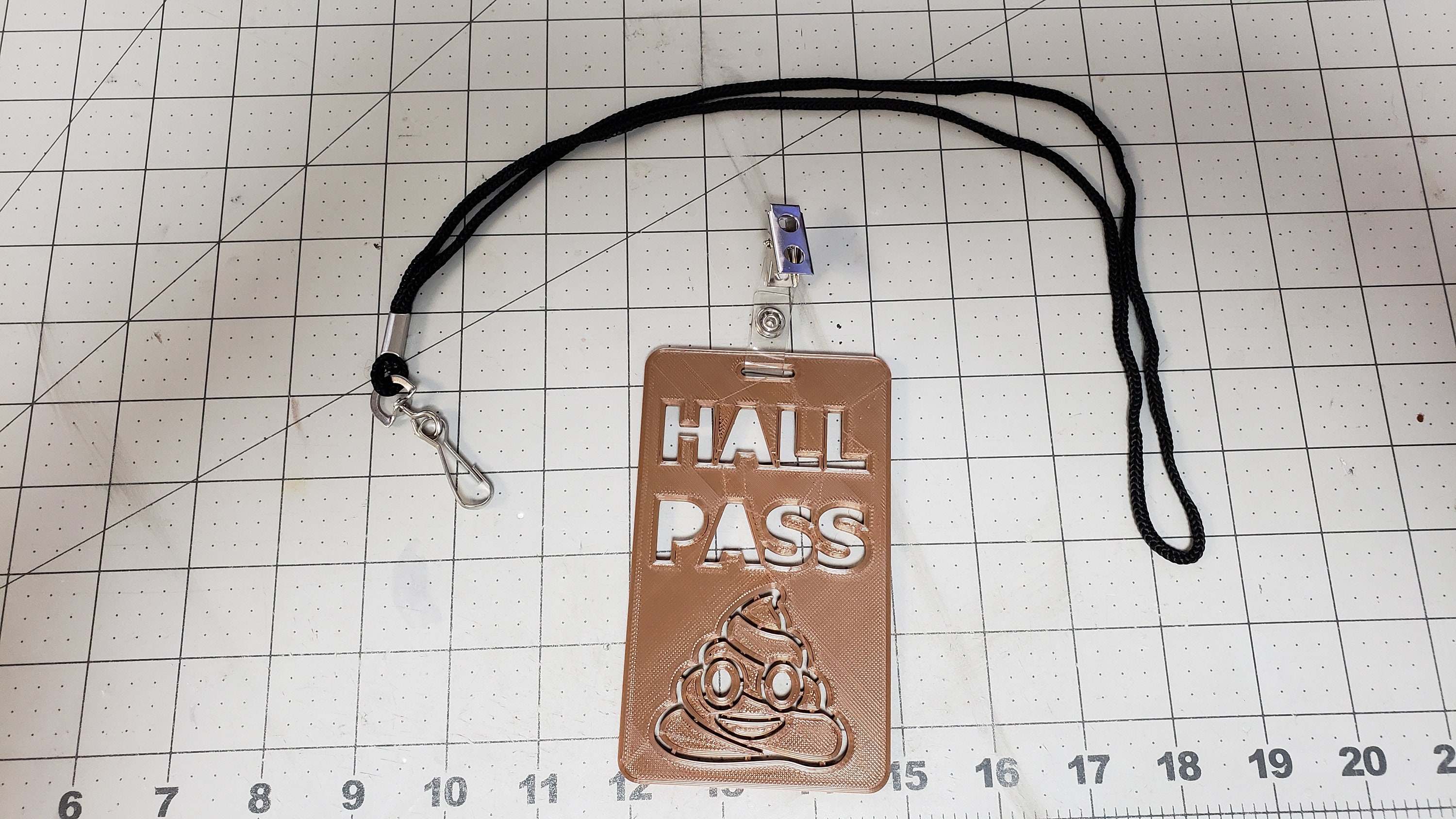 Hall Pass / Bathroom Pass / Gift for Teacher / Back to School / Poop ...