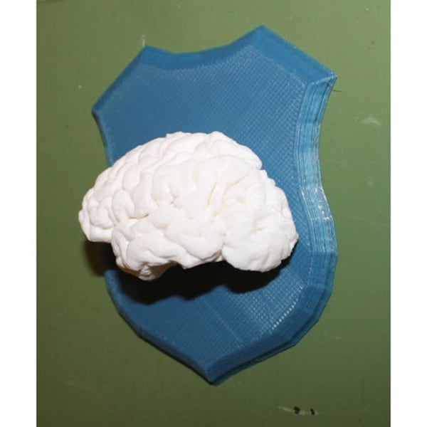Brain Trophy - Etsy