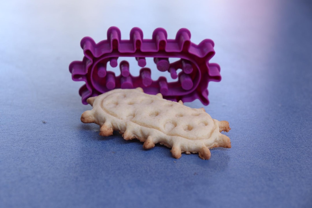 Bacteria Cookie Cutter / 3d Printed - Etsy