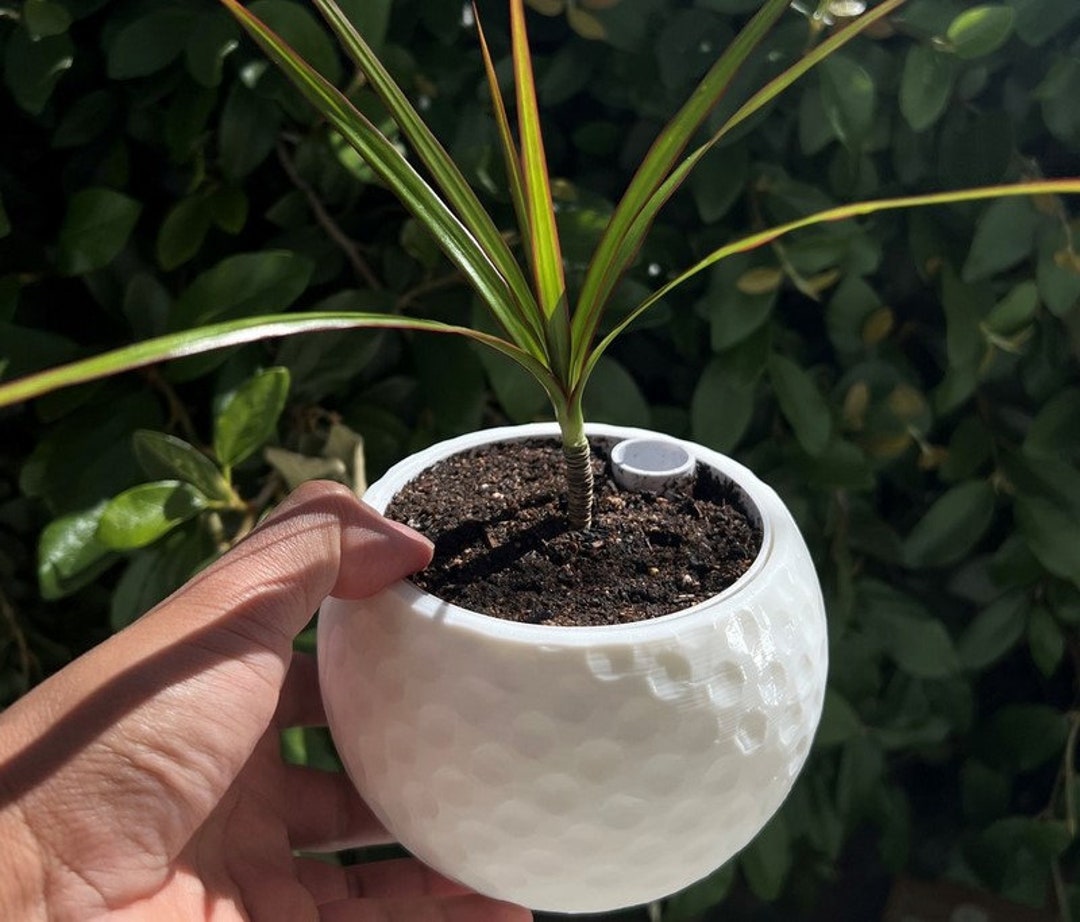 Golf Ball Planter - Etsy