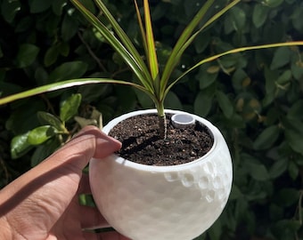 Flat Golf Ball Ceramic Planter, Round White Display Pot, Home Decor ...