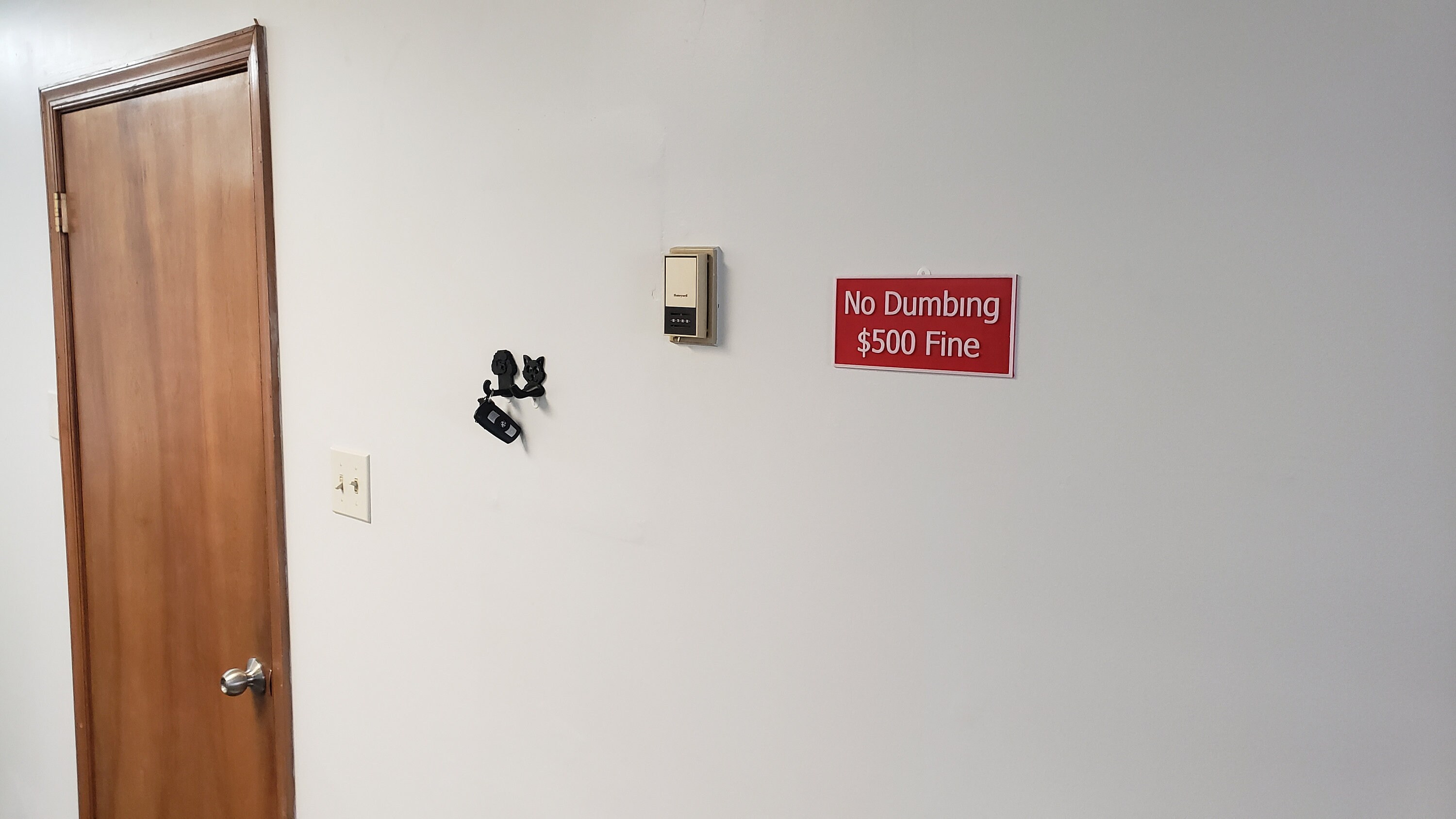 No Dumbing Sign / Funny Office Sign / Coworker / Gift for - Etsy