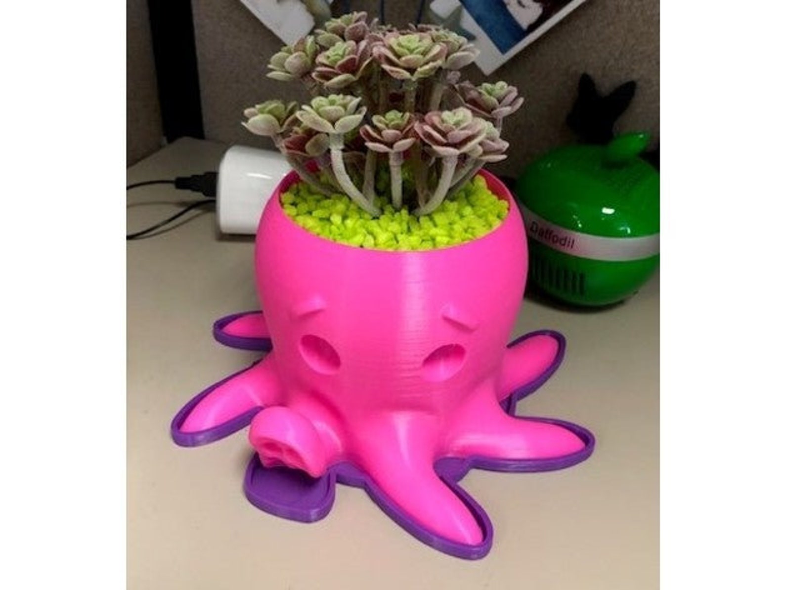Octopus Planter / Succulent / Cactus Pot / Small Planter / - Etsy