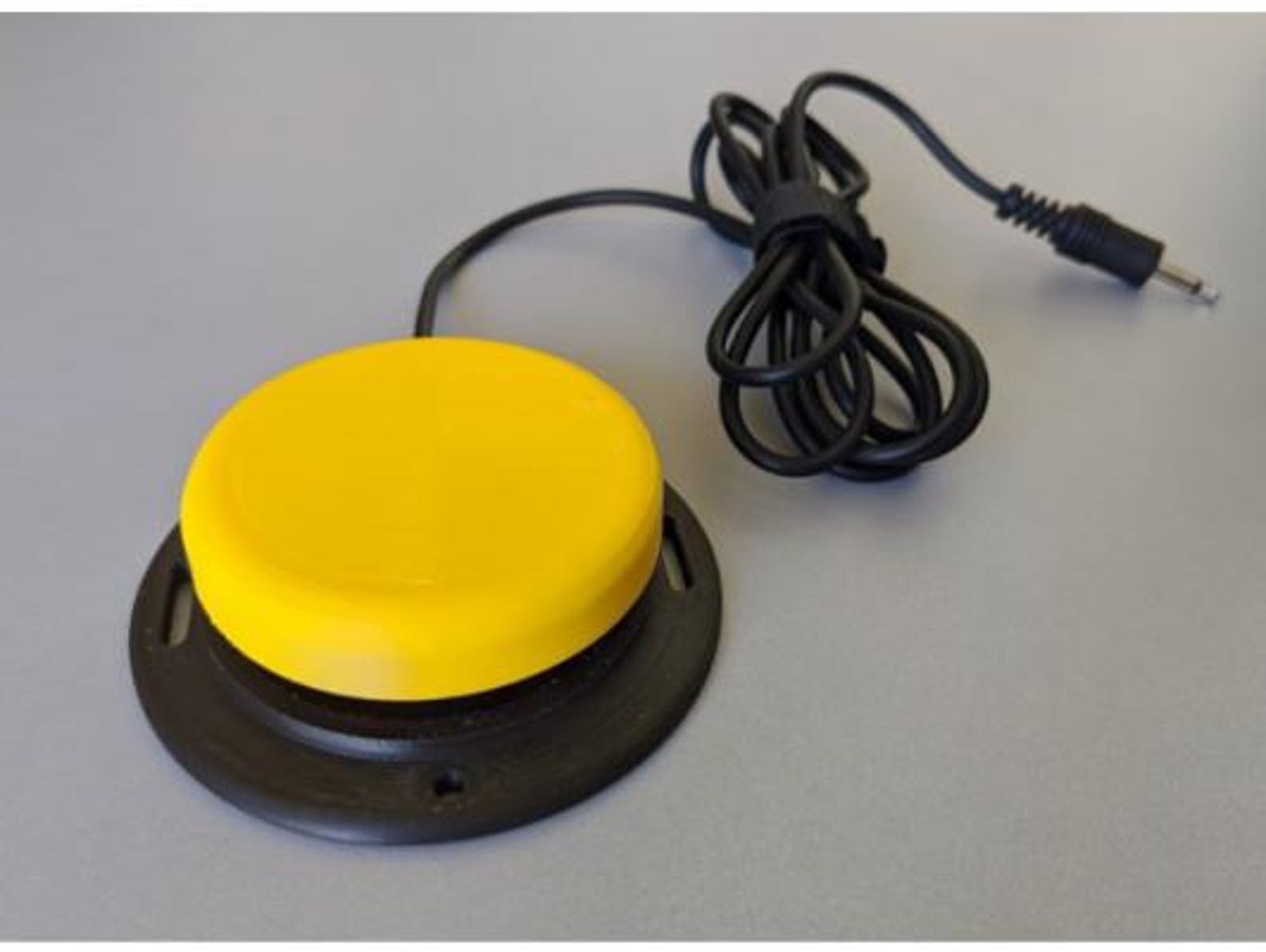 WATERPROOF Interact Switch! / Custom Options / Big Button / Assistive ...