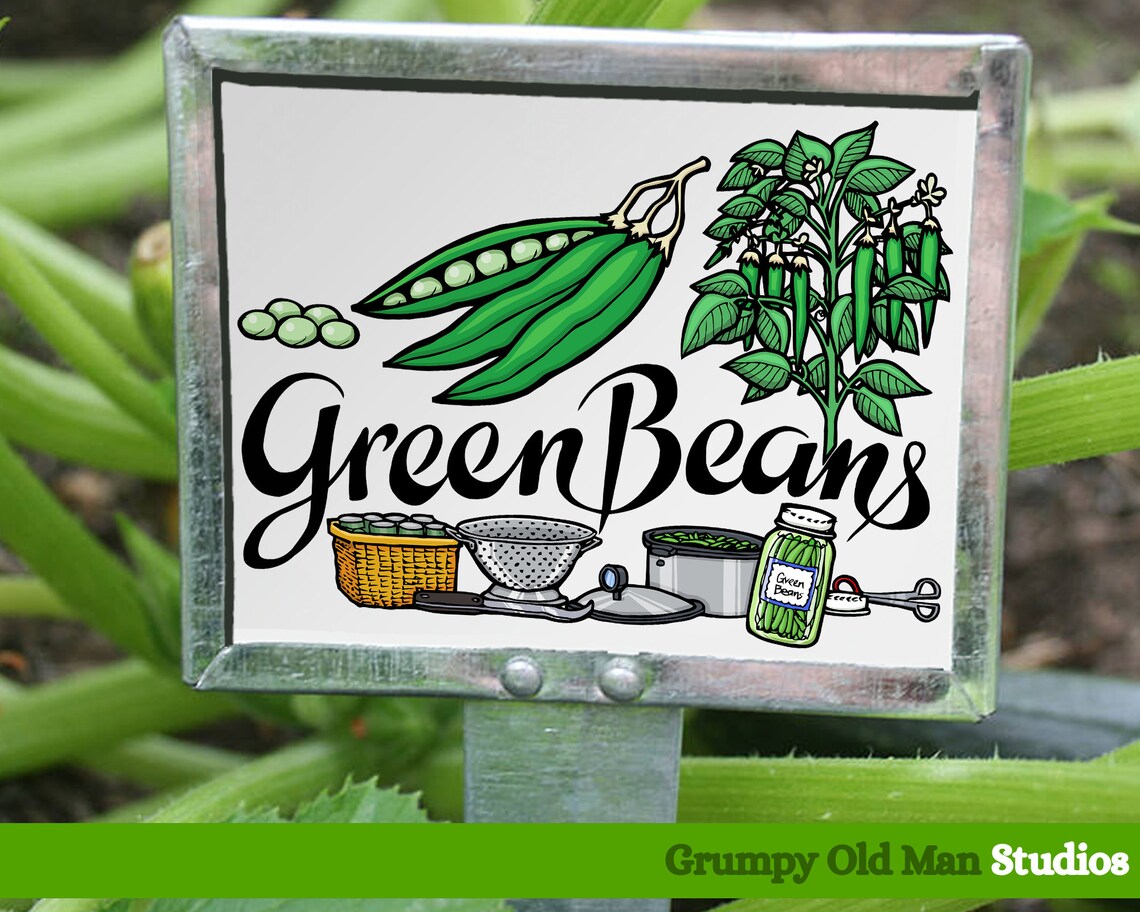 Green Beans Clip Art Vegetable Clip Art Garden Plant Label Green Bean ...