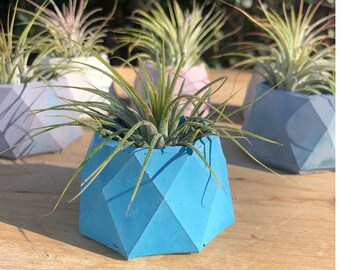 Hexagon Flower Pot - Etsy Australia