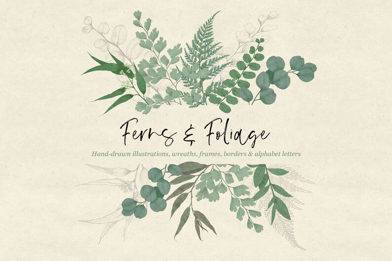Ferns & Foliage Illustrations - Etsy