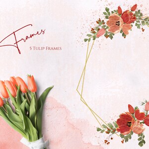 Tulip Clipart, Watercolortulip Clipart, Floral Clipart, Spring Clipart ...