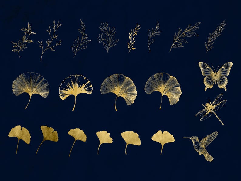 Metallic Gold Frames, Gold Frame Clipart, Gold Frames Illustrations ...