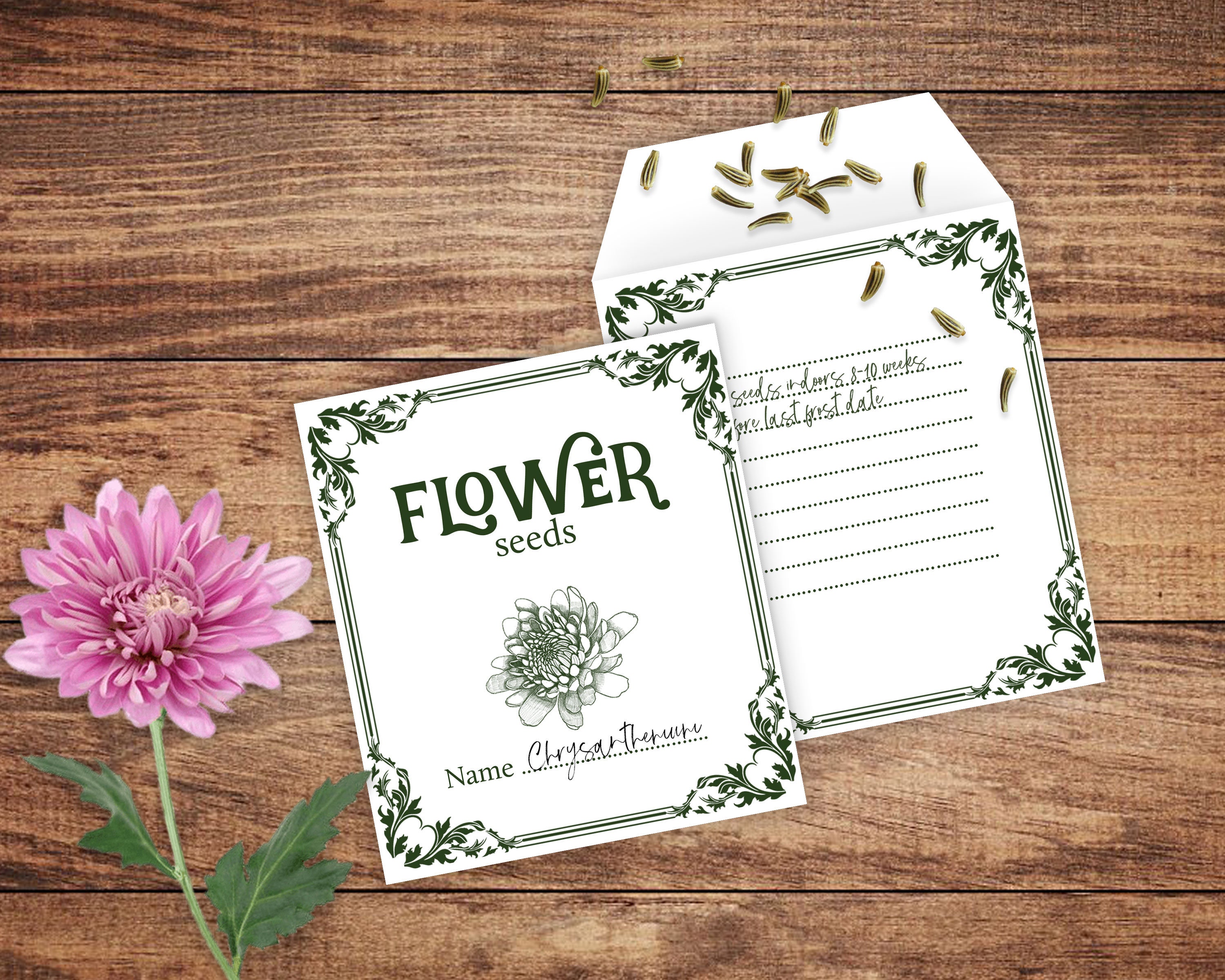 Printable Seed Envelopes - Etsy
