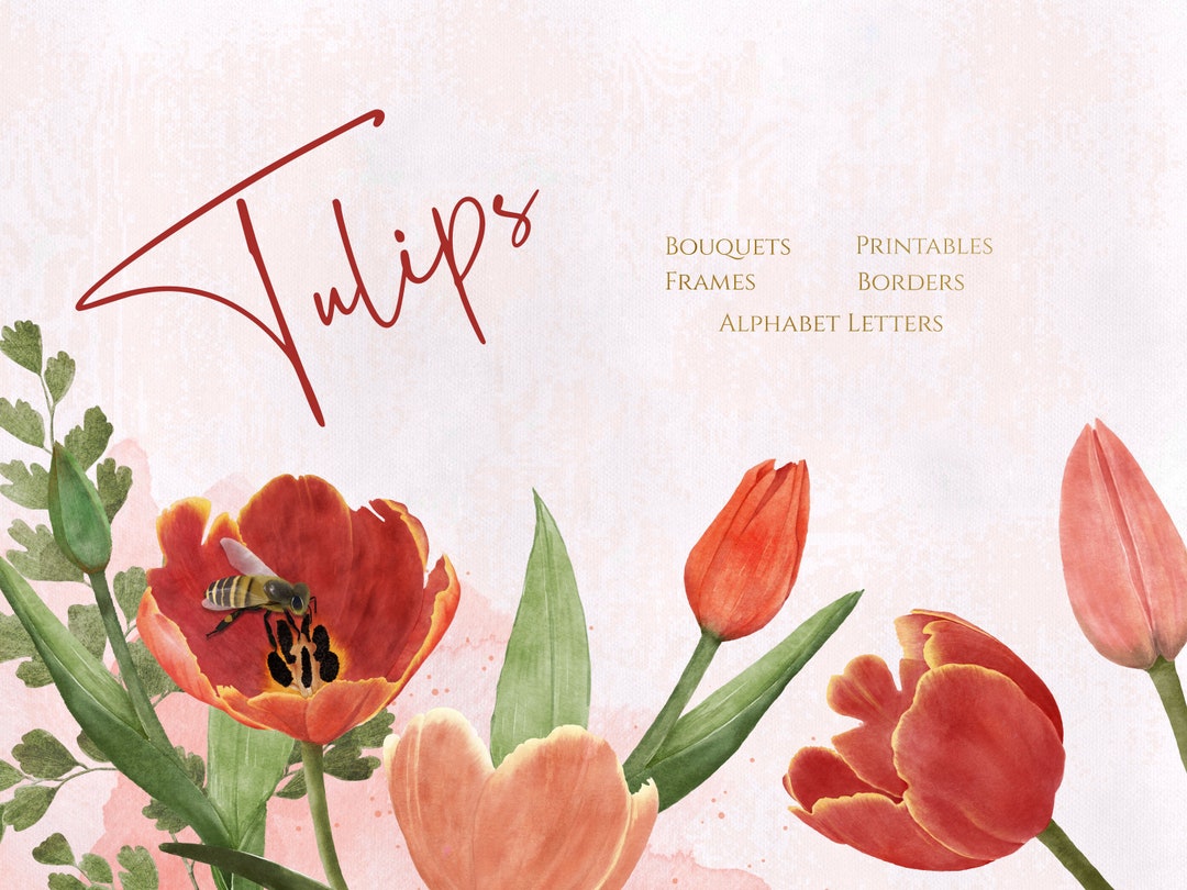 Tulip Clipart, Watercolortulip Clipart, Floral Clipart, Spring Clipart ...