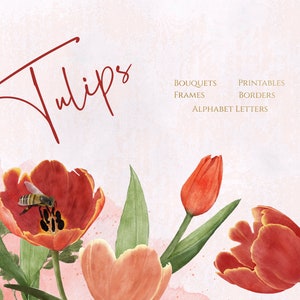 Tulip Clipart, Watercolortulip Clipart, Floral Clipart, Spring Clipart ...