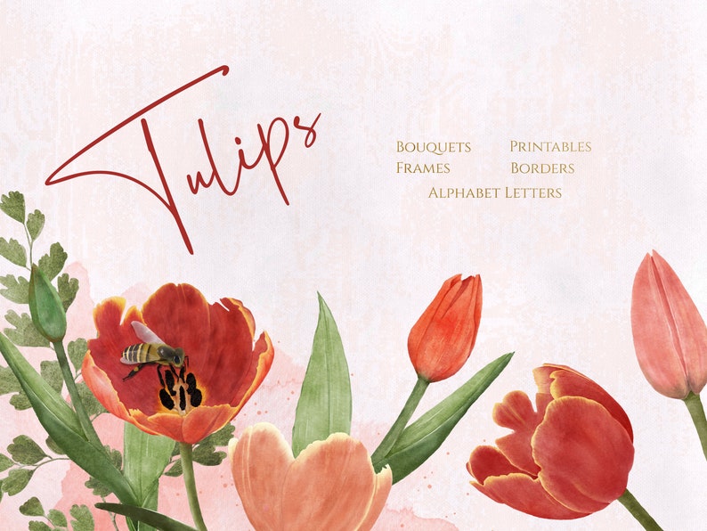 Tulip Clipart, Watercolortulip Clipart, Floral Clipart, Spring Clipart ...