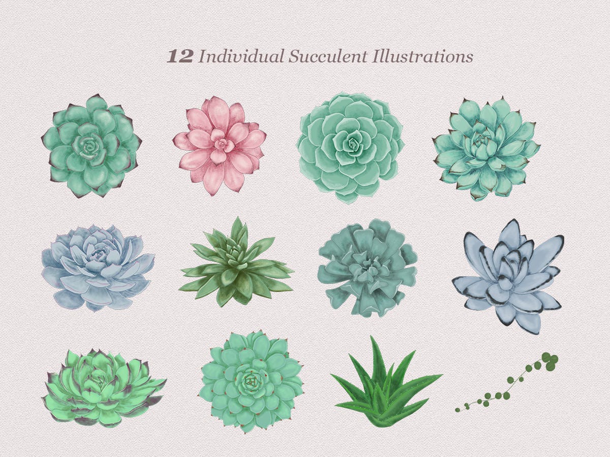 Succulent Design Set, Digital, Printable, Invitations, Thank You Cards ...