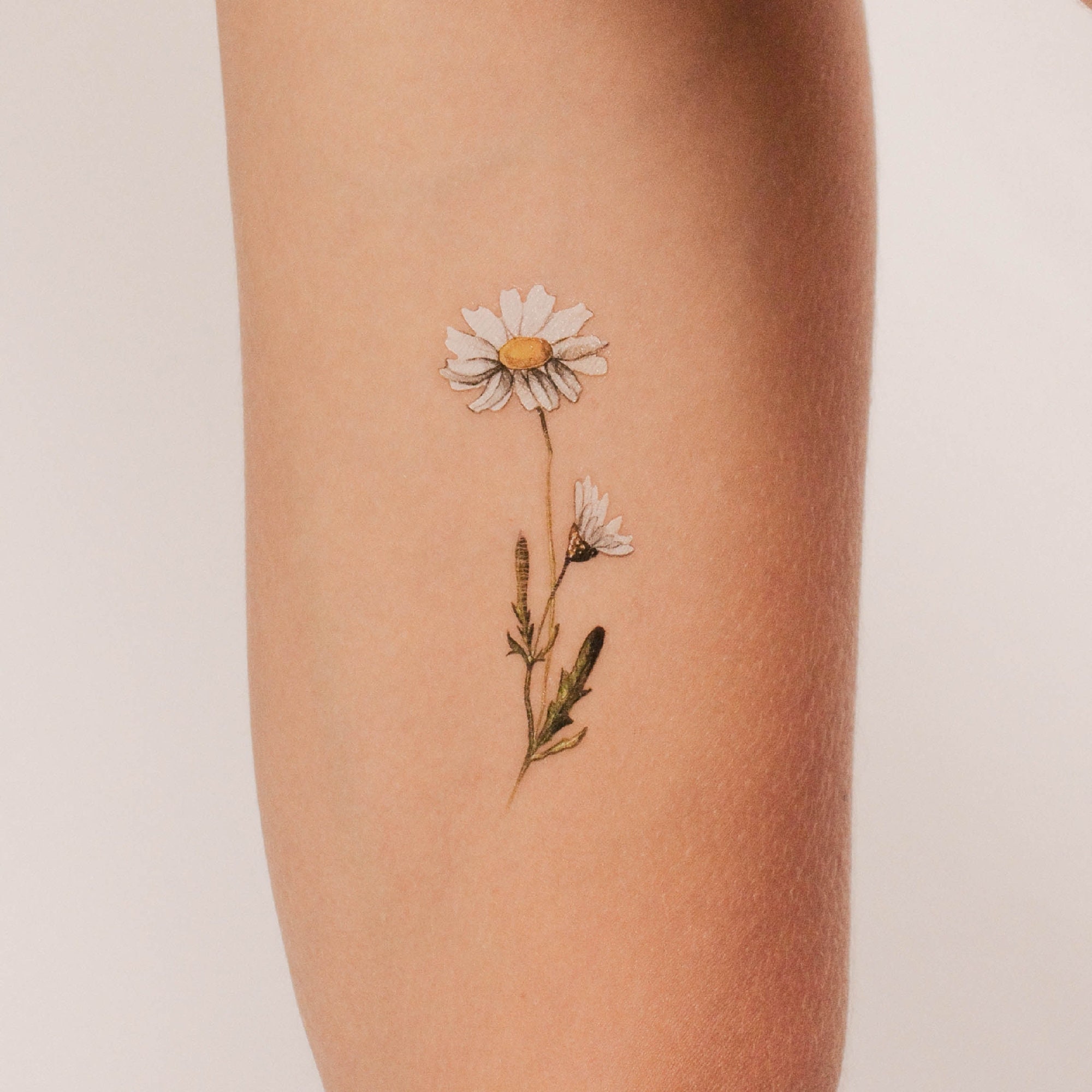 Dragonfly Gerber Daisy Tattoo