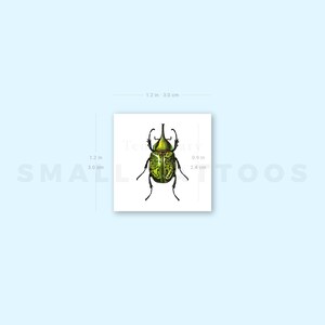 Hercules Beetle Temporary Tattoo (set of 3) - Etsy