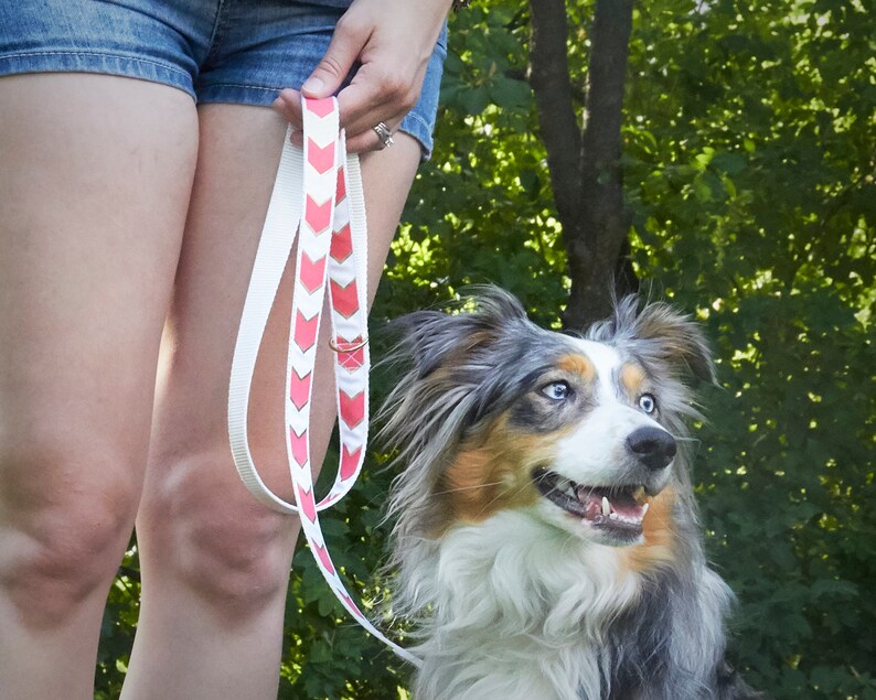 Black and White Zebra Print 1 Inch Dog Leash With Multiple | Etsy