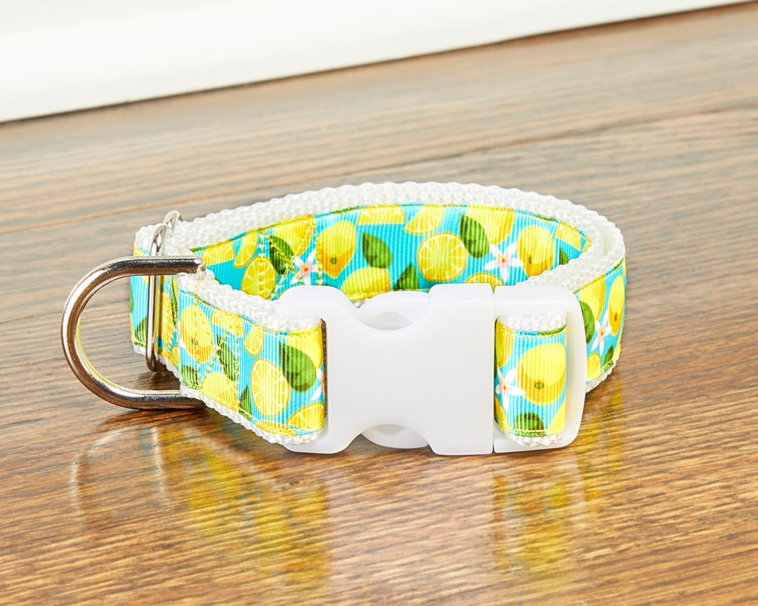 Limones y flores con fondo azul Collar para perros de 1 - Etsy España