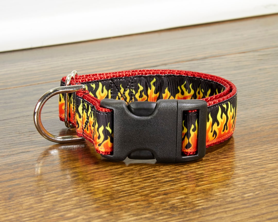 Red, Orange, and Yellow Flame 1 Inch Dog Collar With Black, Red, or ...
