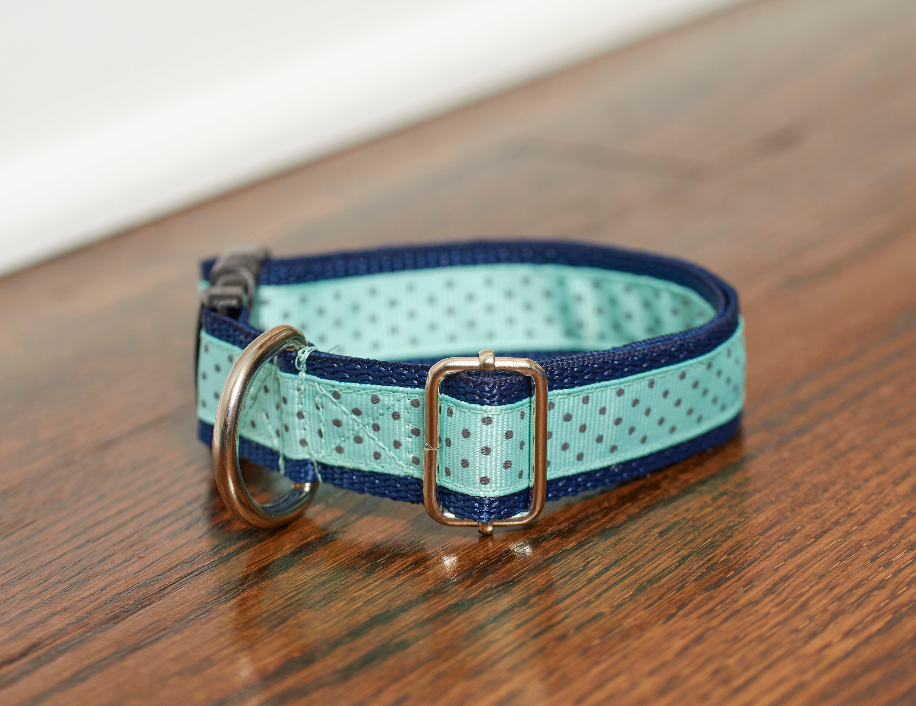 Turquoise With Gray Polka Dot 1 Inch Dog Collar and Leash Set With ...