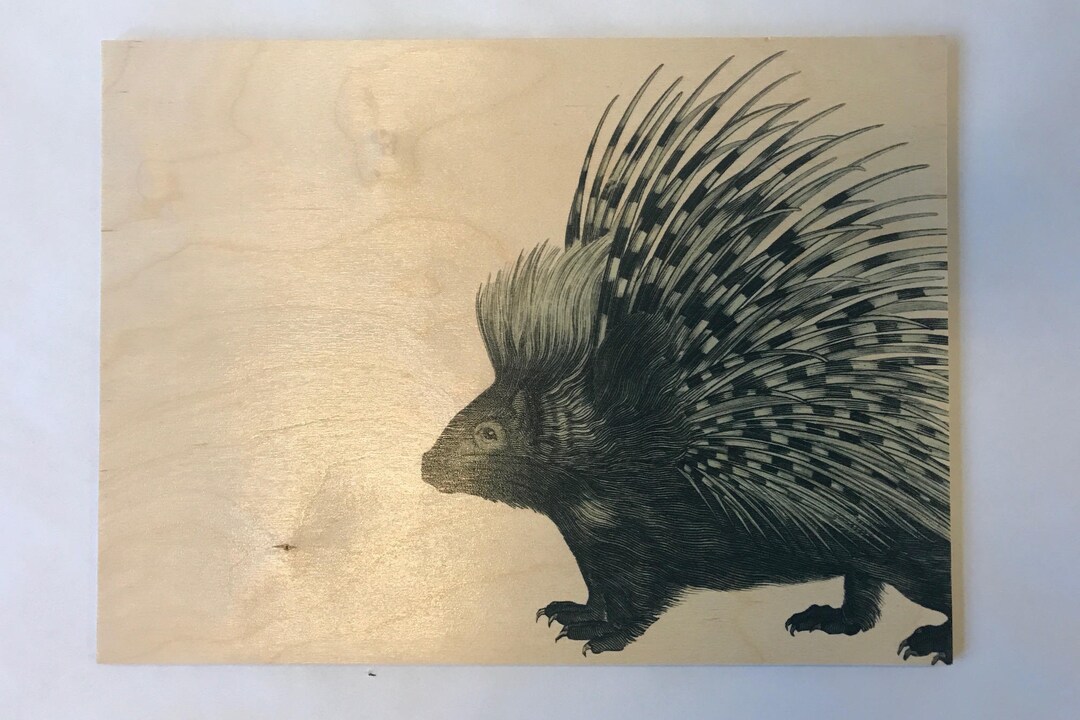 Porcupine Printed Wood Placemats, Woodland Art, Forest Animal Print ...