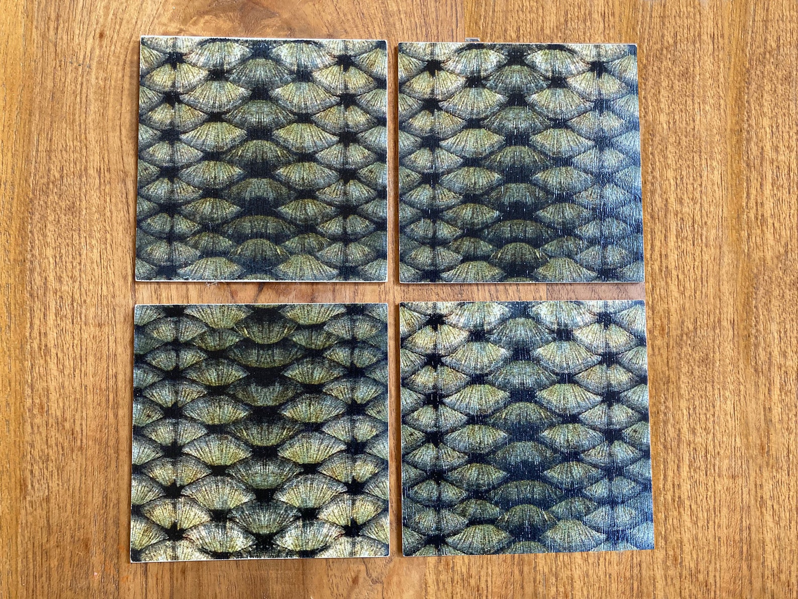 Fish Scales Pattern Coaster, Silver Grey Wood Coaster Set, Fish Scales ...