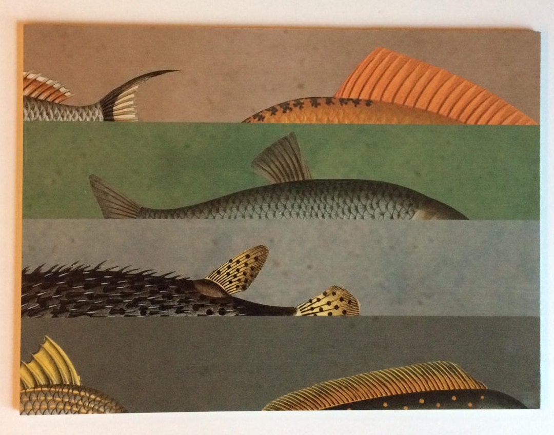 Fish Placemats, Wooden Placemats, Sea Animal, Coastal Seaside Prints ...