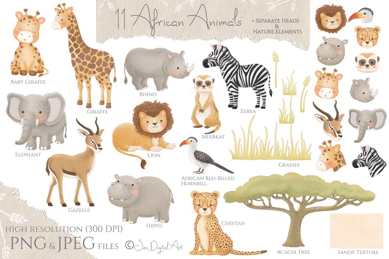 African Safari Animals Clip Art Collection 29 Elements PNG / JPEG Files ...