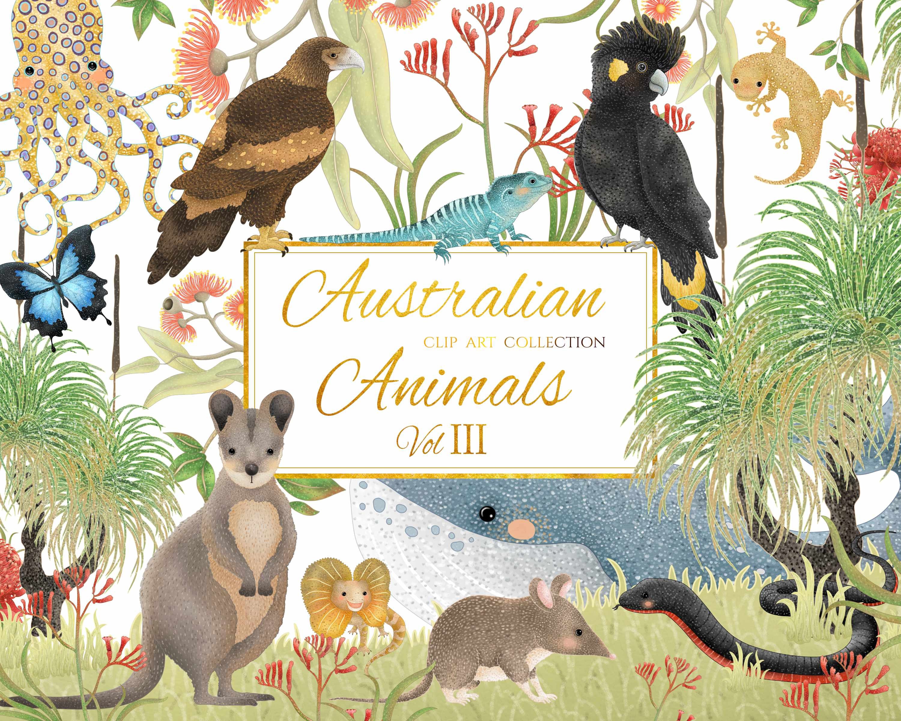 Australian Animals Clip Art Vol 3: Wildlife & Seamless Patterns (PNG ...