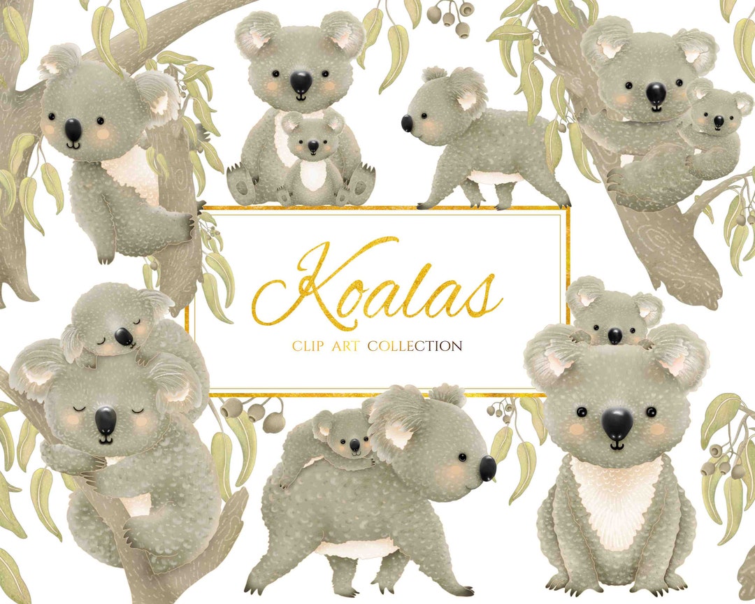 Koalas Clip Art Collection | 22 Elements | PNG / JPEG Files ...