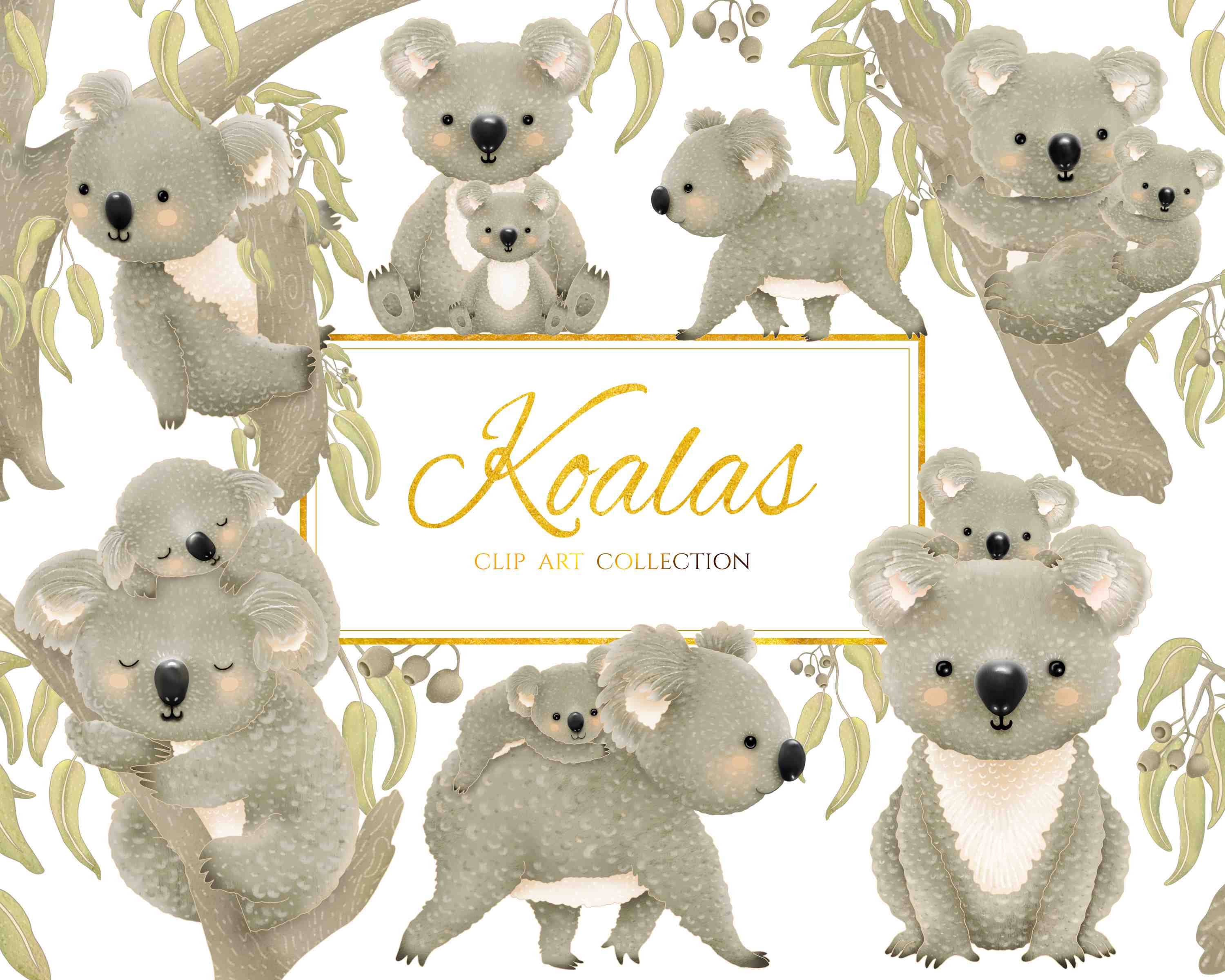 Koalas Clip Art Collection | 22 Elements | PNG / JPEG Files ...