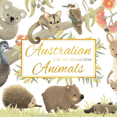 Australian Animals Clip Art Collection 17 Elements PNG / - Etsy Australia