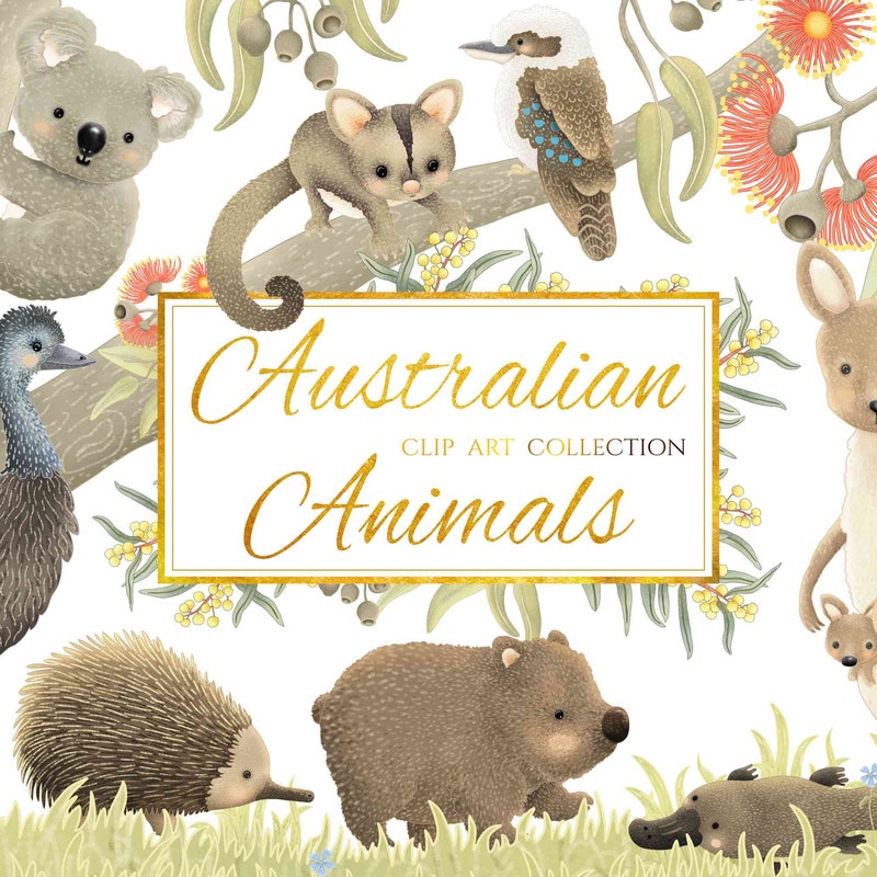 Australian Animals - Etsy