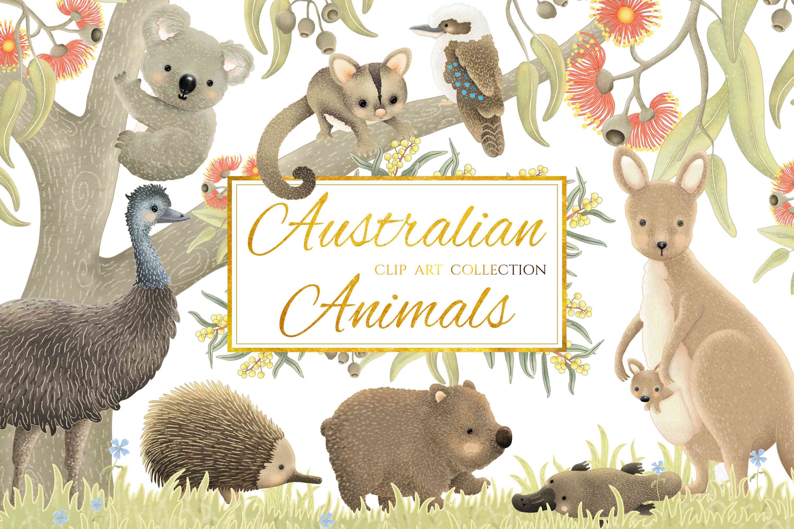 Australian Animals Clip Art Collection 17 Elements PNG / - Etsy Australia