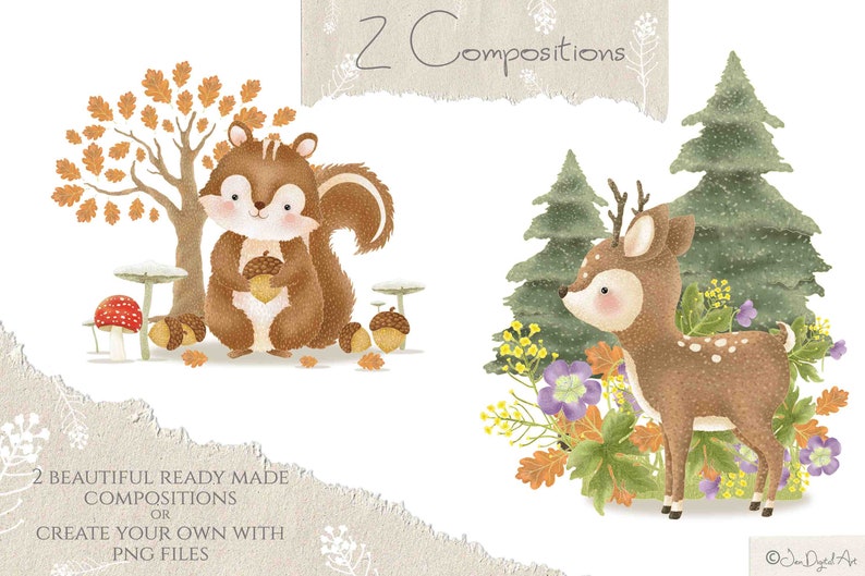 Woodland Animals Clip Art Collection 29 Elements PNG / JPEG Files ...