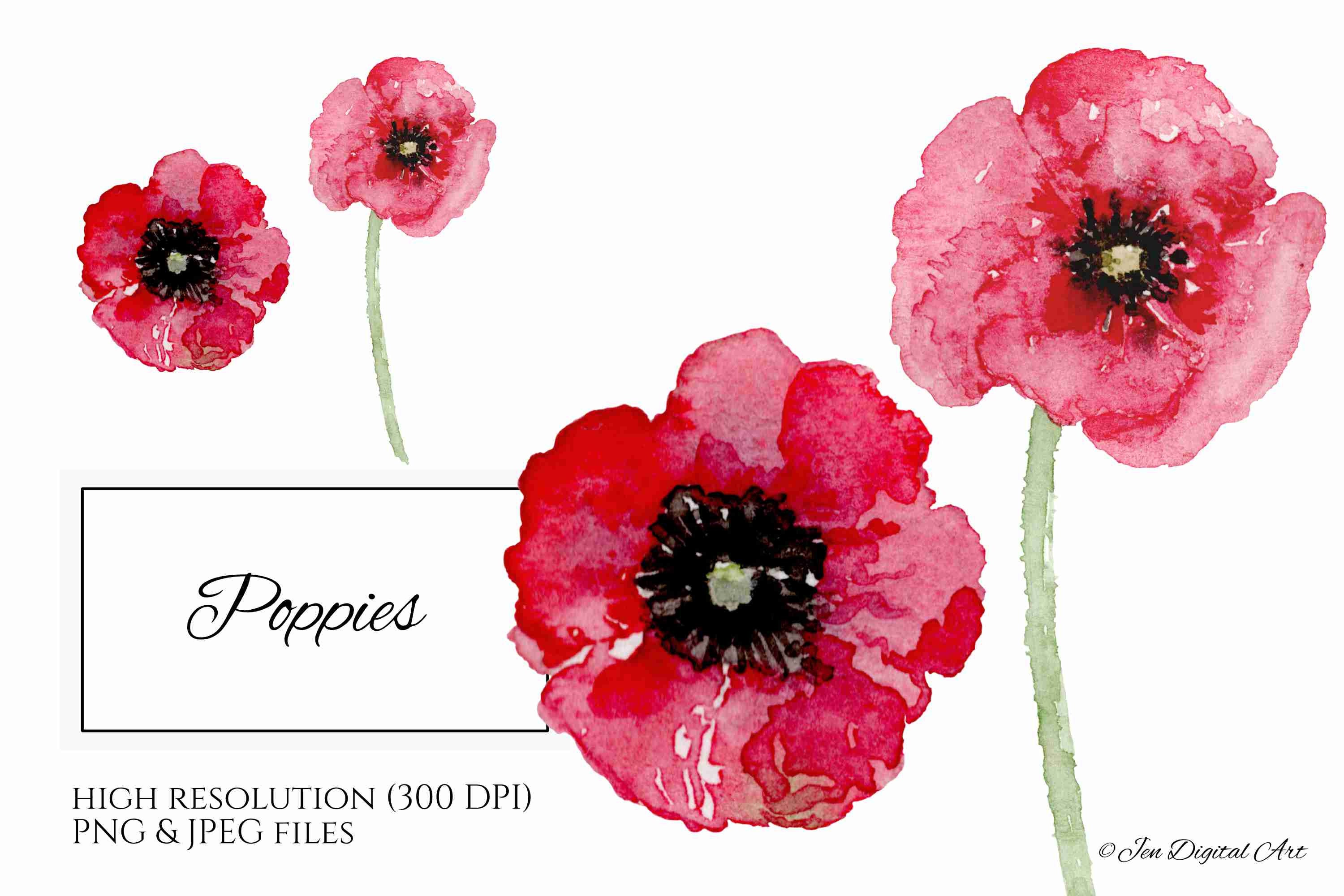 Animal Tea Set Clip Art Collection 8 Watercolour PNG - Etsy