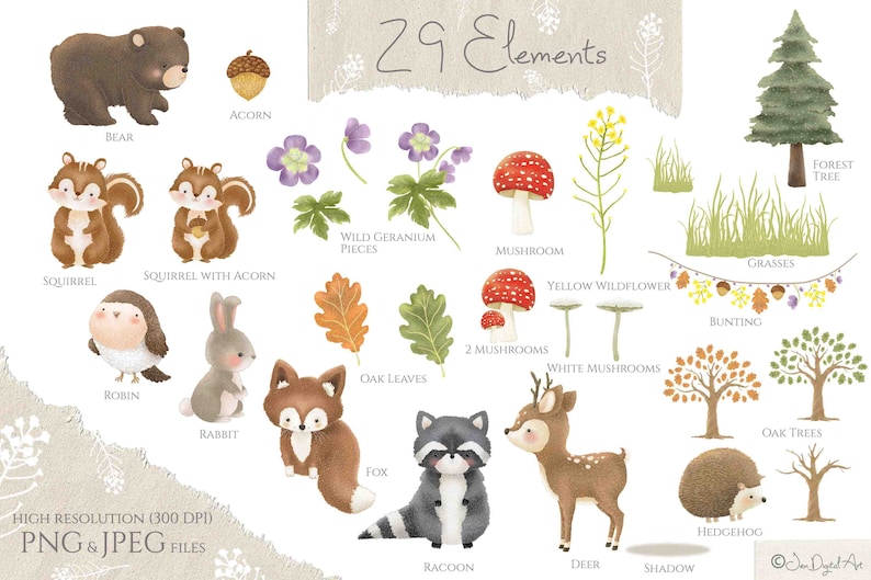 Woodland Animals Clip Art Collection 29 Elements PNG / JPEG Files ...