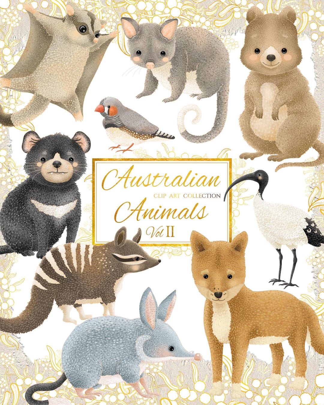 Australian Animals Clip Art Vol 2: Dingo, Quokka, Possum (PNG/JPEG) - Etsy