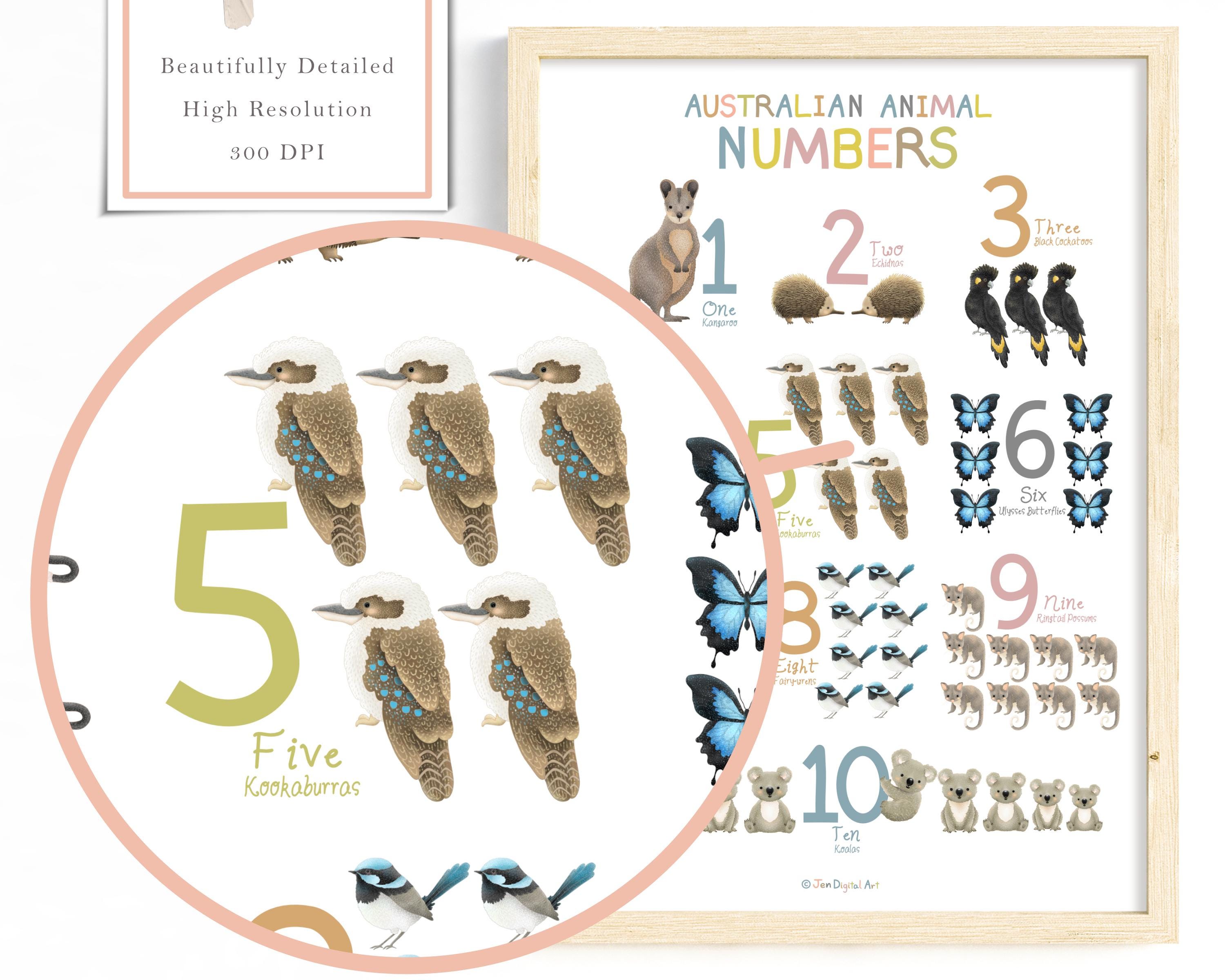 Australian Animal Numbers Poster | Counting Chart | Educational ...