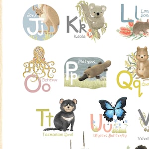 Australian ABC Poster | Alphabet Print | Illustrated Animal Poster | A ...