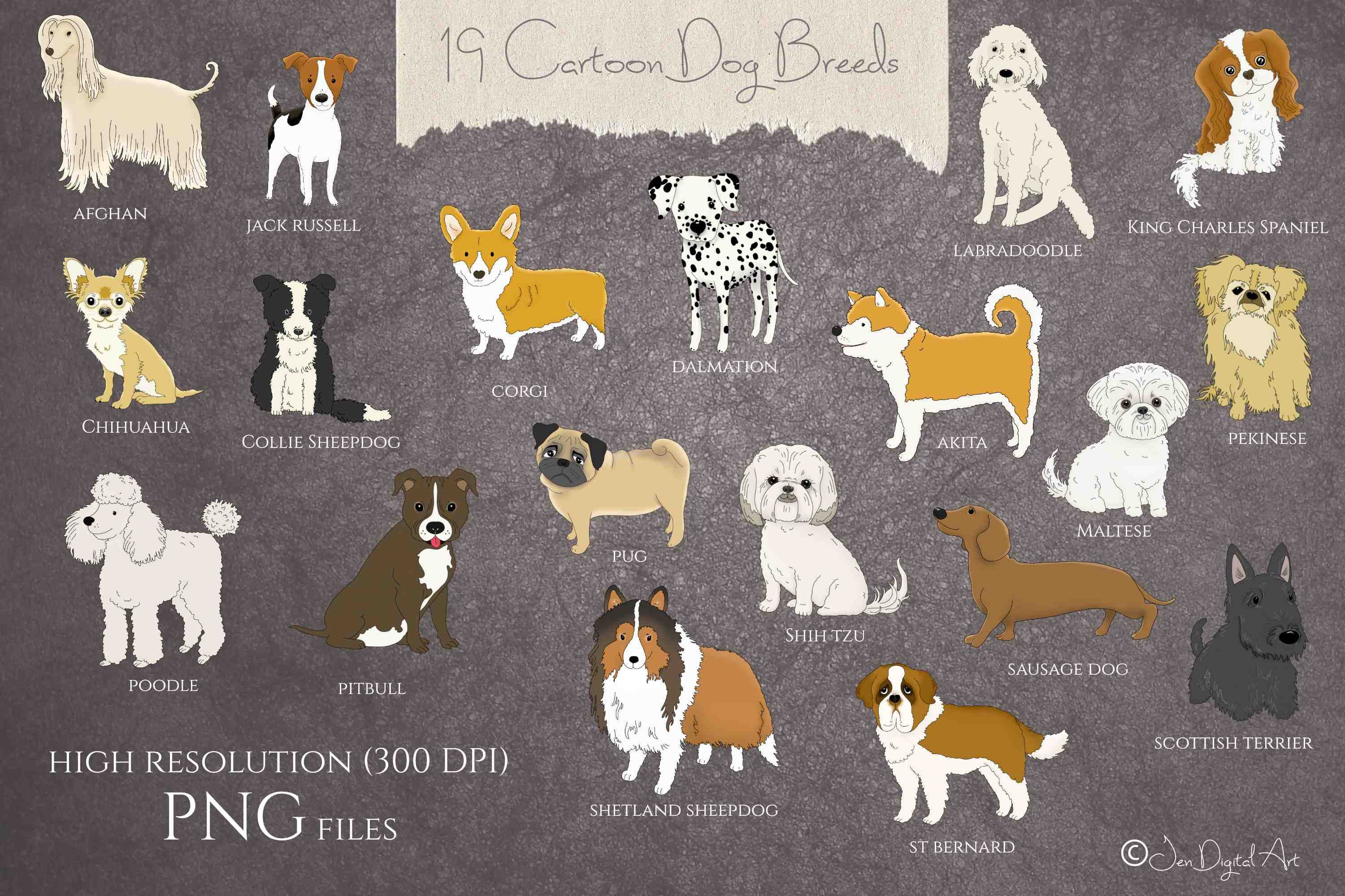 Cartoon Dogs Clip Art Collection | 19 PNG Elements | Cute Dog Breeds ...