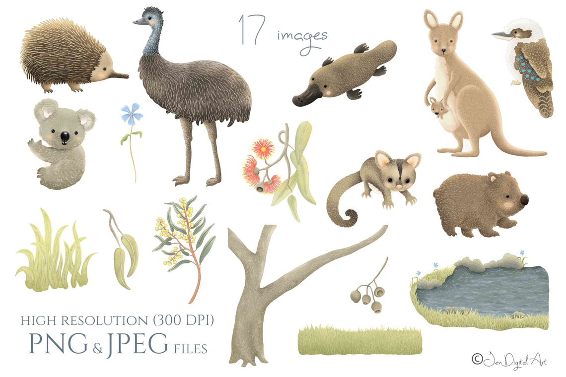 Australian Animals Clip Art Collection 17 Elements PNG / - Etsy Australia