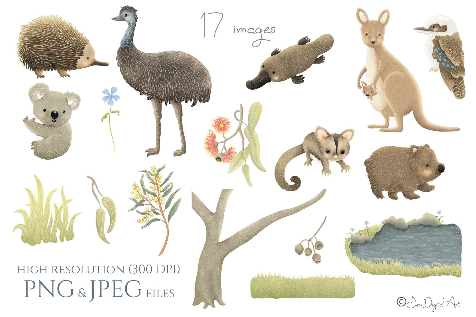 Australian Animals Clip Art Collection 17 Elements PNG / - Etsy Australia