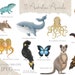 Australian Animals Vol III Clip Art Collection 19 Elements 6 Seamless ...