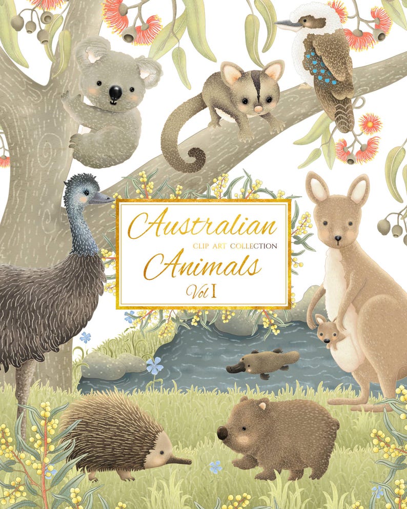 Australian Animals Clip Art Vol 1: Koala, Kangaroo, Emu (PNG/JPEG ...