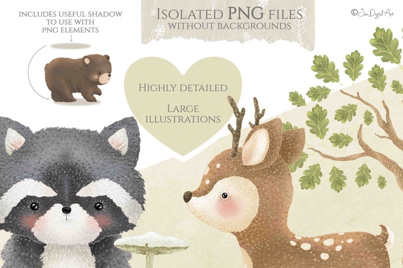 Woodland Animals Clip Art Collection 29 Elements PNG / JPEG Files ...