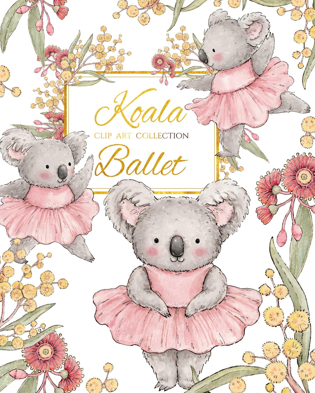 Koala Ballet | 8 Watercolour Clip Art Elements PNG/JPEG | Australian ...