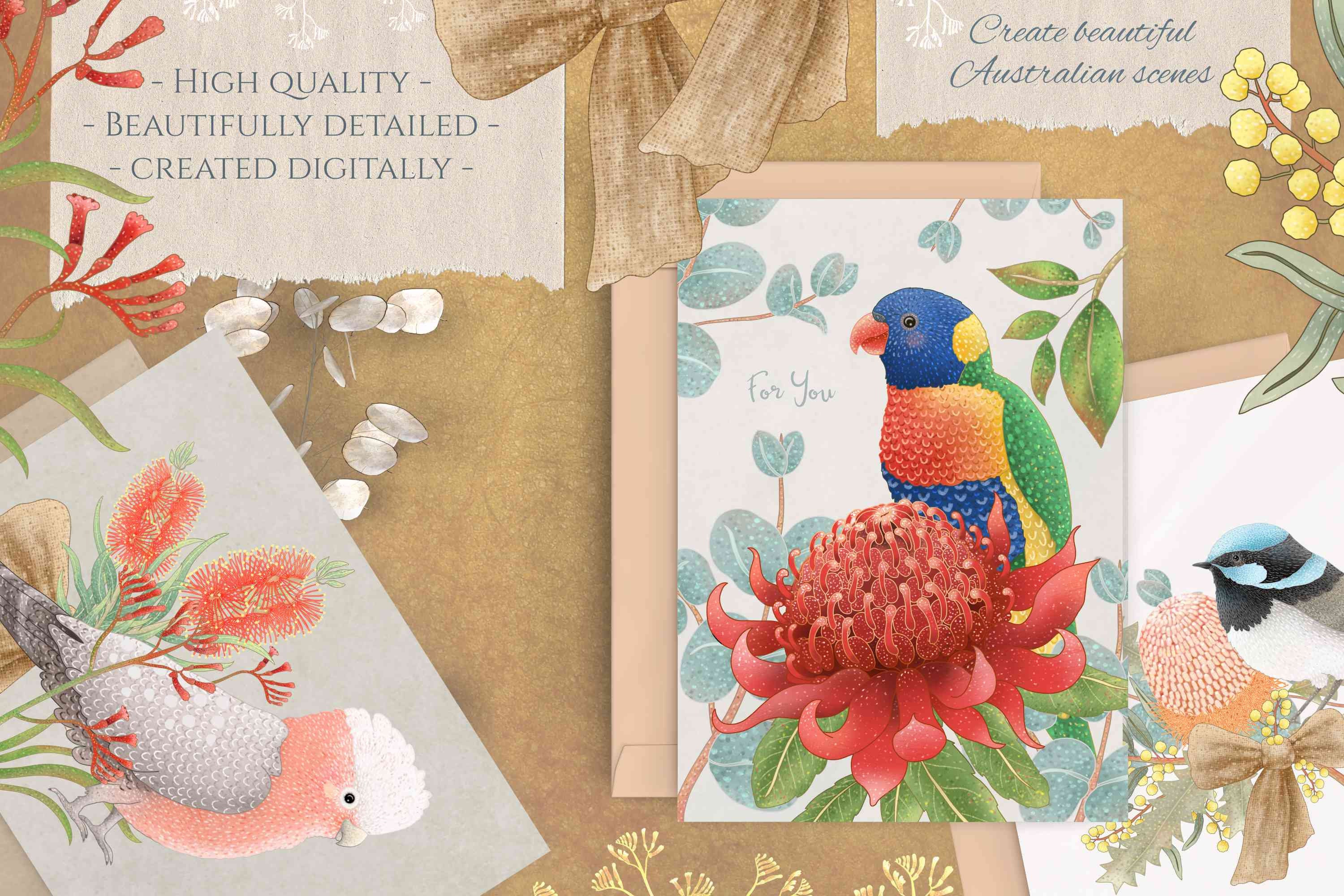 Australian Birds & Flowers Clip Art Collection | 27 Elements | PNG ...